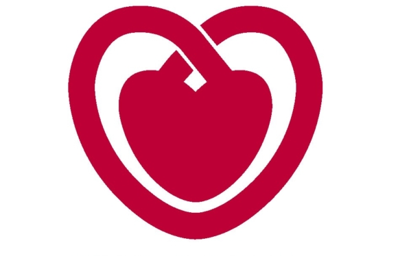 European Society Of Cardiology Indus Instruments